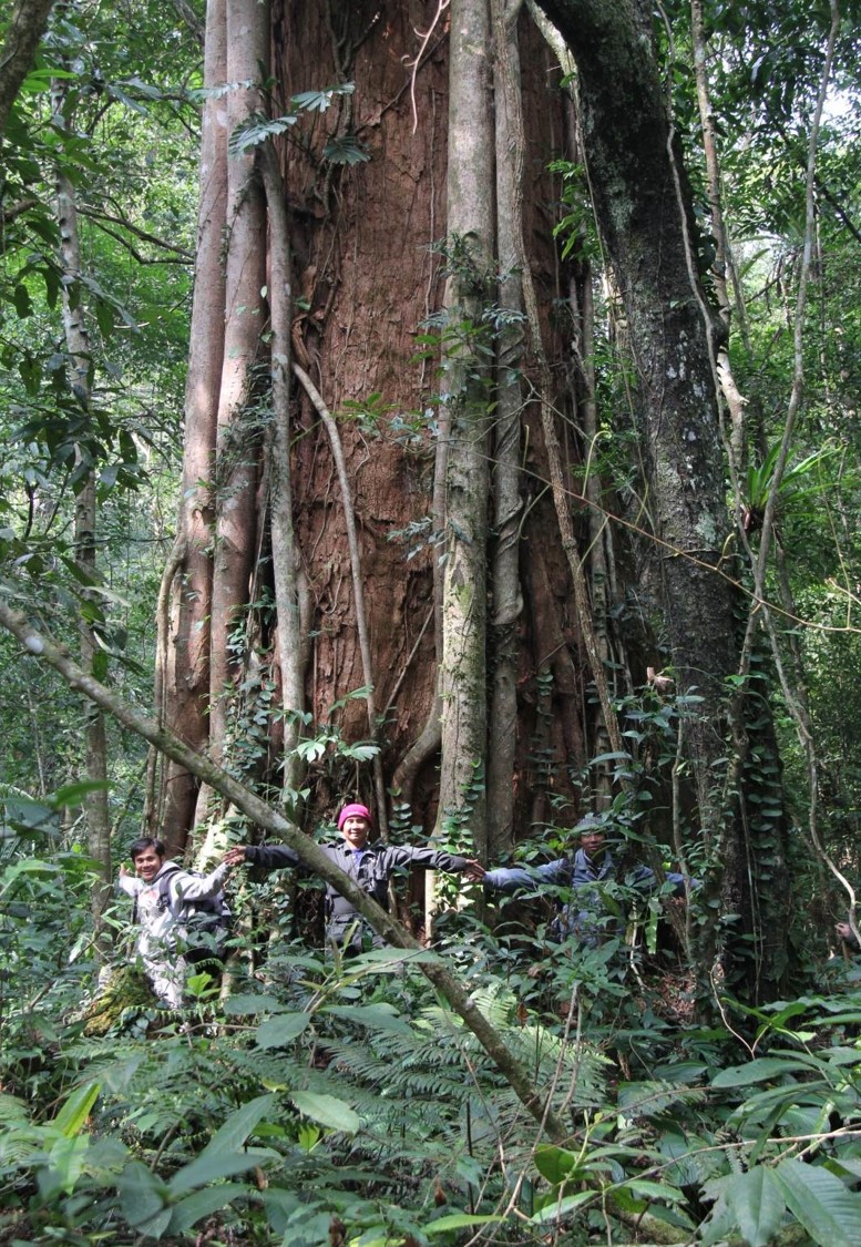 Laos – the TRE lab